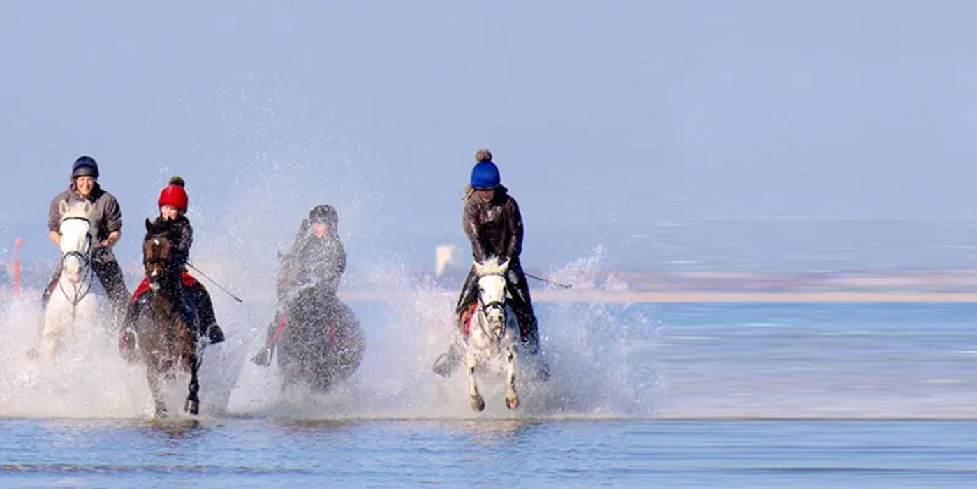 Island Riding Centre